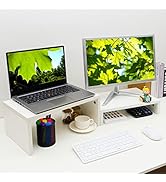 Amazon.com: TEAMIX White Monitor Stand Riser-2 Pack,Wood 2 Tier ...