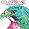 Colortronic: A Kaleidoscopic Coloring Challenge: Lark Crafts ...