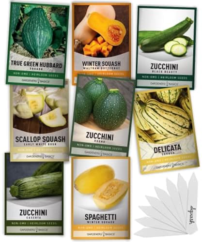 8 Squash Seeds for Planting Individual Packets - Zucchini, Delicata ...