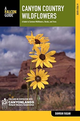 Canyon Country Wildflowers: A Guide To Common Wildflowers, Shrubs, And ...