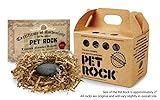 USB Pet Rock
