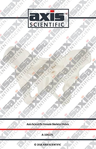 Axis Scientific Skeletal Model of The Female Pelvis | Cast from a Real ...