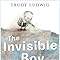 The Invisible Boy : Trudy Ludwig, Patrice Barton: Amazon.co.uk: Books