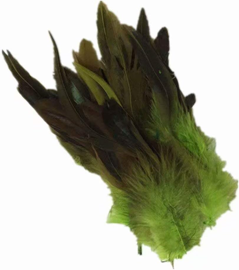 50pcs Hahn Federn Schwanzfedern Natur Hahnenfedern Deko DIY Kopfschmuck ...