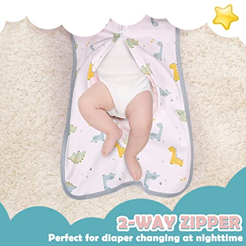2 Pack Transition Swaddle with 2 Way Zipper, 2 in 1 Arms in/Out ...