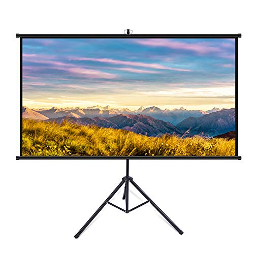 Powerextra 60 inch Projector Screen with Stand, 16:9 HD 4K Indoor ...