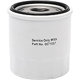 Amazon.com: BANGTE J37-1005 J37-1007 Power Steering Filter Compatible ...