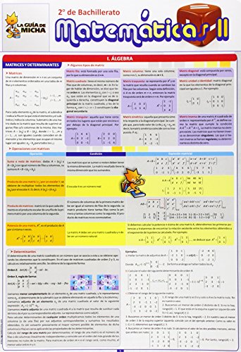 La Guía de Micha: Matemáticas II, 2º de Bachillerato (Guia De Micha ...