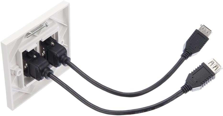 USB 2.0 Modular Faceplate/Wall Outlet (2 x USB 2.0 Port) – BigaMart
