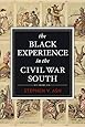 A Massacre in Memphis: The Race Riot That Shook the Nation One Year ...