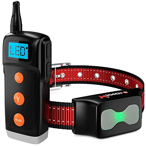 Best Training Dog Collars - A Complete Buyer's Guide