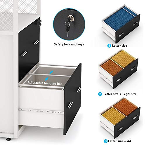 Tribesigns 2 Drawer Lateral File Cabinet with Lock, Letter/Legal / A4 Size, Large Modern Filing ...