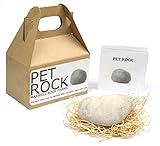 USB Pet Rock