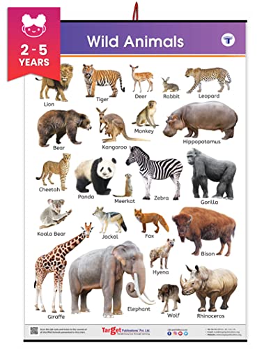 Buy Wild Animals Chart for Kids | Learn about Jungle or Forest Animals ...