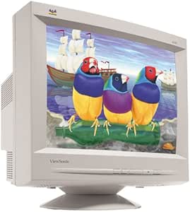 Amazon.com: ViewSonic E90 19" CRT Monitor: Computers & Accessories