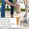 Absorbine Veterinary Liniment Topical Analgesic Sore Muscle and ...