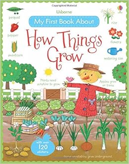 My First Book About How Things Grow (My First Books): Amazon.co.uk ...