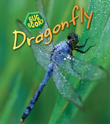 Dragonfly (Bug Books): St. Pierre, Stephanie: 9781432912499: Amazon.com ...