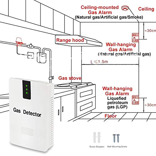 Gas Detector, Gas Alarm with Digital Display Gas Sensor for High ...