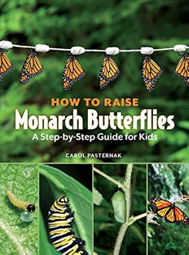 How to Raise Monarch Butterflies: A Step-by-Step Guide for Kids (How It ...