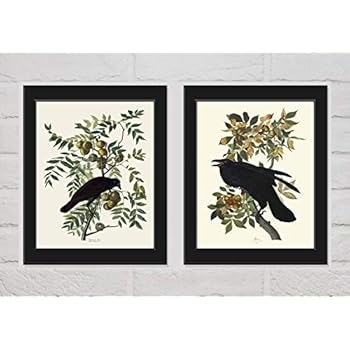 Amazon.com: Home Cabin Décor Krahe by Rudi Hurzlmeier 24x33 Crow Raven ...