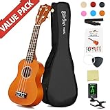 The Best Ukulele - The Travelling Musician's Instrument of Choice!