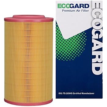 Amazon.com: PG Air Filter PA99079| Fits 2014-19 Ram ProMaster 1500 ...