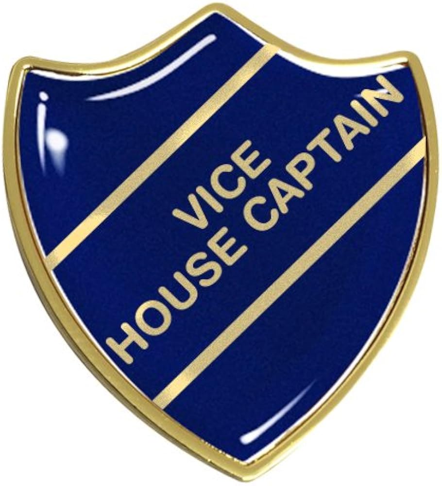 Vice House Captain Gel Domed School Shield Badge (Blue): Amazon.co.uk ...