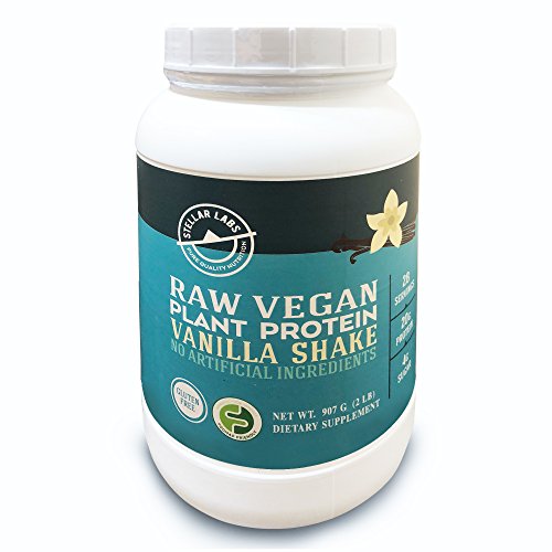Stellar Labs Raw Vegan Plant Protein Vanilla Powder,