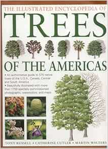 Illustrated Encyclopedia of Trees of the Americas: An Authorative Guide ...