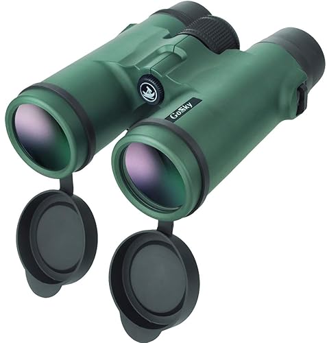 10 Best Compact Binoculars of 2019: Buyer's Guide & Reviews