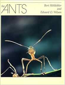 Amazon.com: The Ants (9780674040755): Bert Holldobler, Edward O. Wilson ...