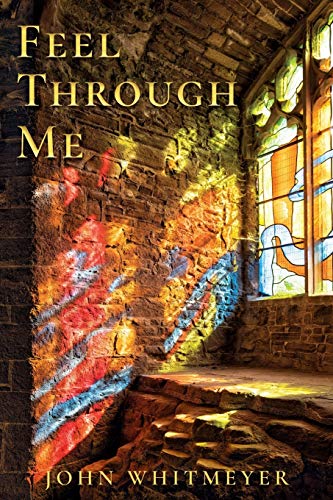 Feel Through Me: Whitmeyer, John: 9781645699637: Amazon.com: Books