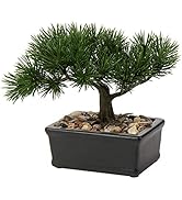 Amazon.com: Artificial Bonsai Tree Juniper Faux Plants Indoor Small ...