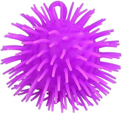 Puffer Ball (Sold Individually - Colors Vary): Amazon.ca: Toys & Games