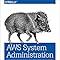 Amazon.com: AWS System Administration: Best Practices for Sysadmins in the Amazon Cloud ...