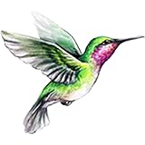 Amazon.com - Beautiful Vibrant Colored Hummingbird Art #1 Vinyl Decal ...