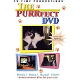 Amazon.com: The Cat's Meow Cat Sitter DVD (Animal Planet) : Movies & TV