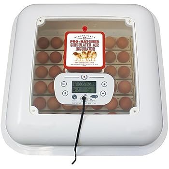 Amazon.com : Harris Farms Chicken Catcher : Garden & Outdoor
