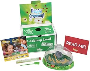 Amazon.com: Insect Lore Deluxe Ladybug Land with Live Larvae: Toys & Games