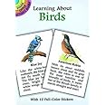 Learning About Leaves: With 12 Stickers (Dover Little Activity Books ...