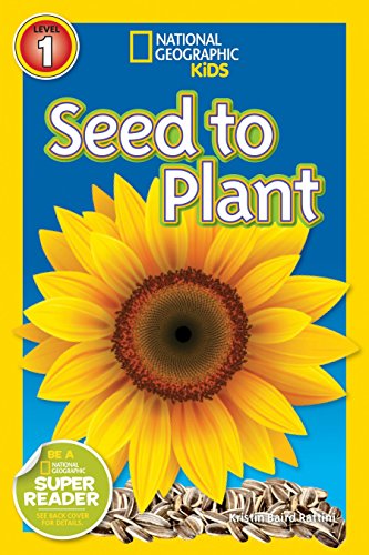 Parts of a Flower Worksheet