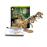 Build a T-Rex! Paleontology Adventure for the Kids! ~ My Crafty Zoo