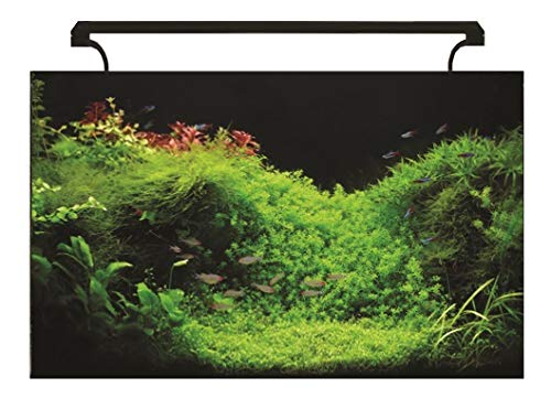 Aqua One AquaNano 80 Glass Aquarium 130L: Amazon.co.uk: Pet Supplies