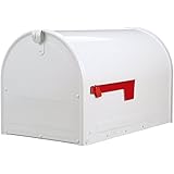 Amazon.com: Post Top White Galvanized Dry Mailbox with Plastic Mesh ...