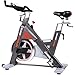 L NOW Fitness Indoor Cycling Bike,Indoor Stationary Trainer Exercise ...