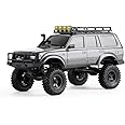 Amazon.com: BEEZRC FMS RC Crawler 1/18 FCX18 Land Cruiser LC80 RTR ...