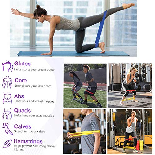 Fitness Insanity Resistance Bands Set - 5-Piece Exercise Bands ...