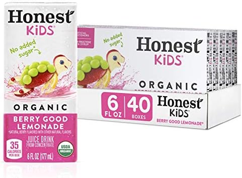 Honest Kids Berry Good Lemonade, Organic Juice Drink, 6 Fl oz Juice ...