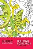 Chihuly Art Kit Activity Book: Dale Chihuly: 9781576841716: Amazon.com ...